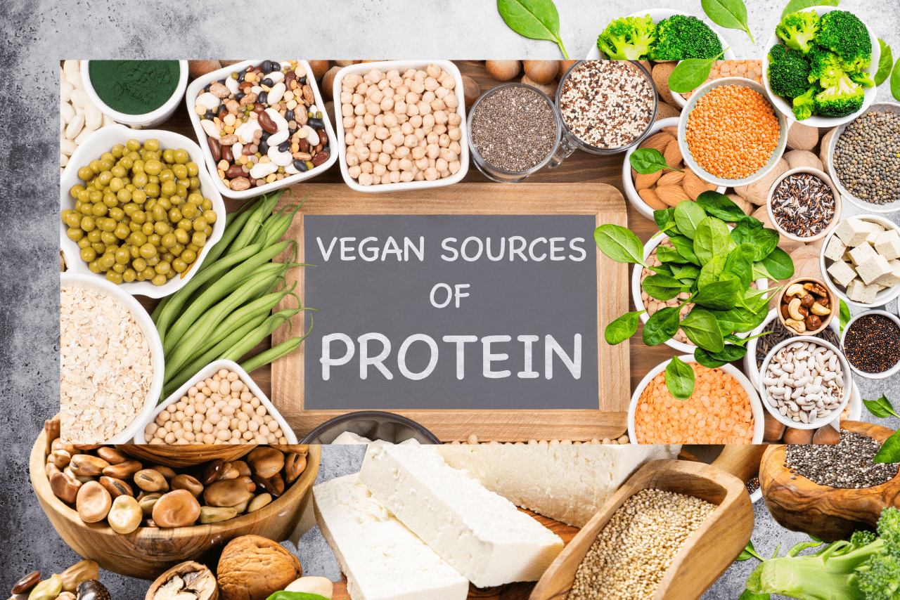 What are some of the best plant-based vegan protein sources?